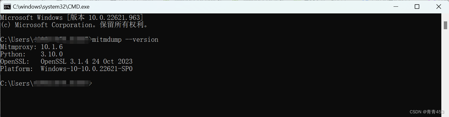 mitmproxy安装和使用-CSDN博客
