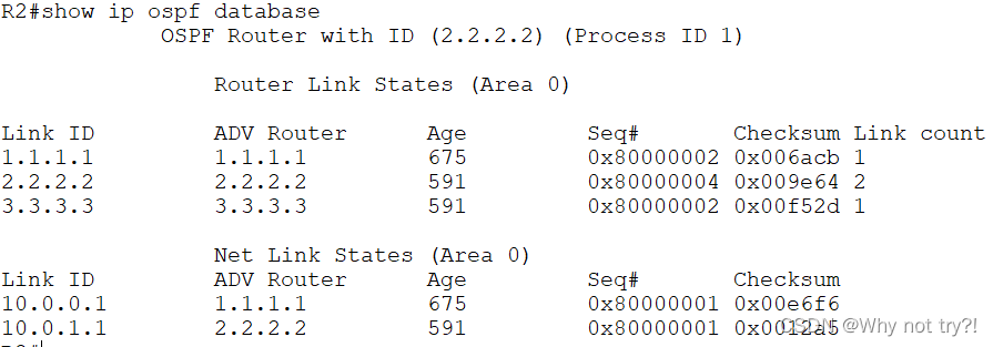 Cisco简单配置（十八）—OSPF_cisco ospf-CSDN博客