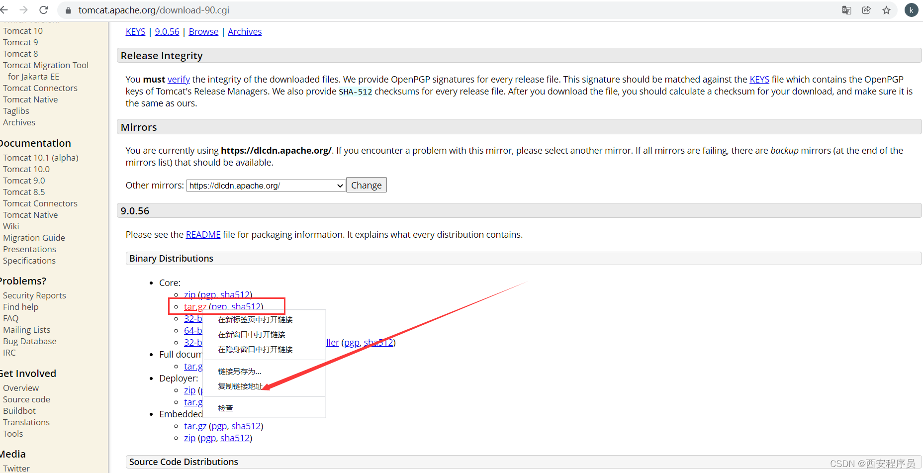 Centos8 安装OpenJDK及解压版安装tomcat9_bc8 yum安装openjdk-CSDN博客