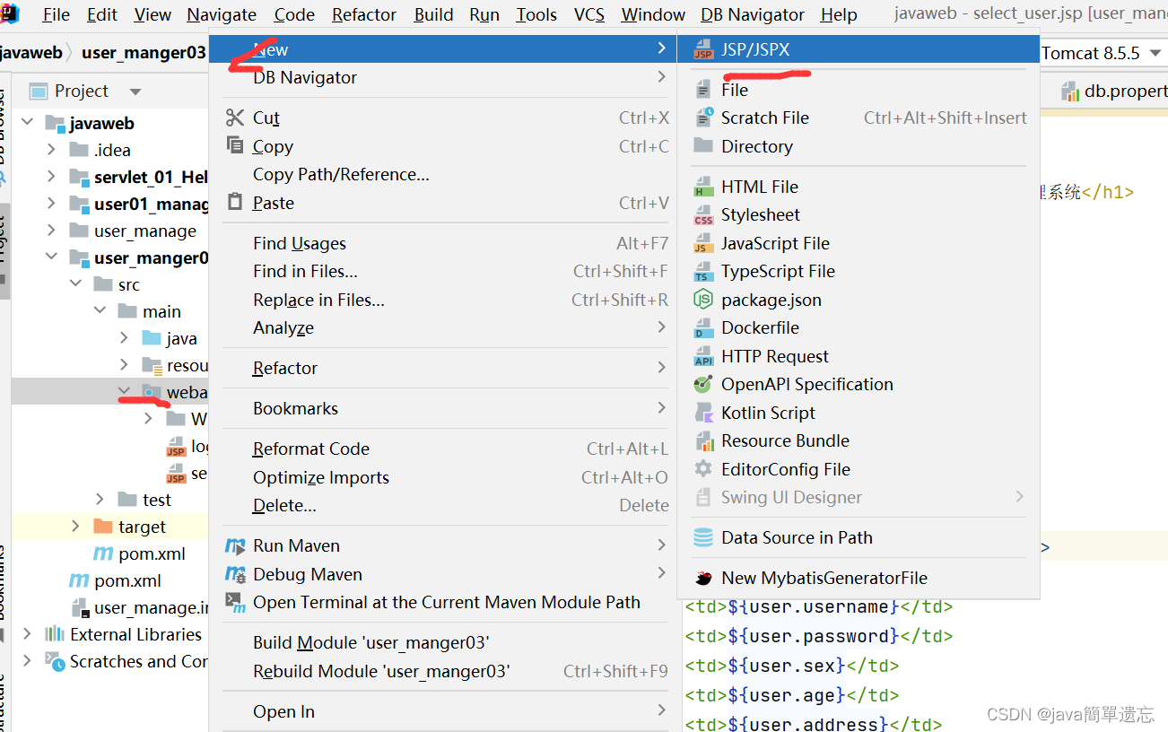 idea如何创建一个javeweb工程_idea创建webapp 目录-CSDN博客