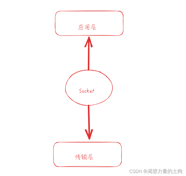 Socket、UDP、TCP协议和简单实现基于UDP的客户端服务端_socket tcp udp-CSDN博客