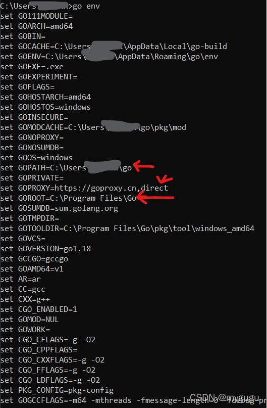 Goland 调试go使用-大白记录_go: could not create module cache:-CSDN博客