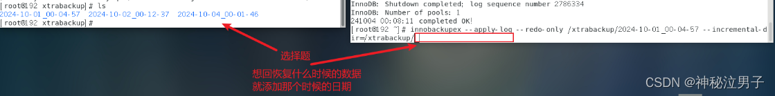 Mysql中使用percona Xtrabackup工具 三种备份及恢复 (超详细教程)percona Xtrabackup Csdn博客