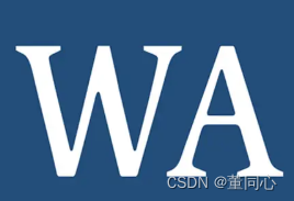 编程常见错误分析：WA、RE、TLE及优化策略-CSDN博客