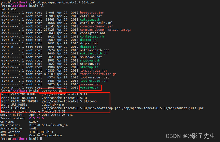 Linux系统-安装JDK1.8与Tomcat8.0_linux 安装jdk1.8-CSDN博客