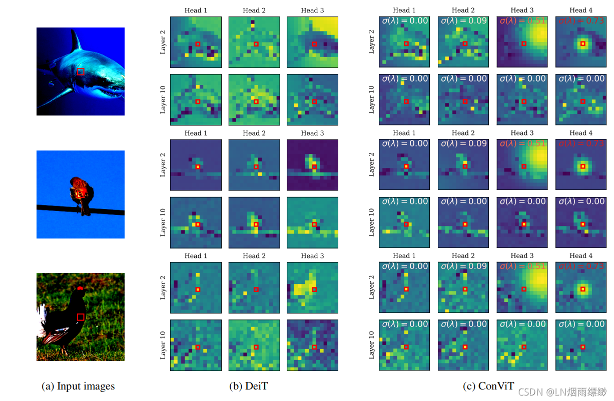 最容易理解的ConViT: Improving Vision Transformerswith Soft Convolutional ...