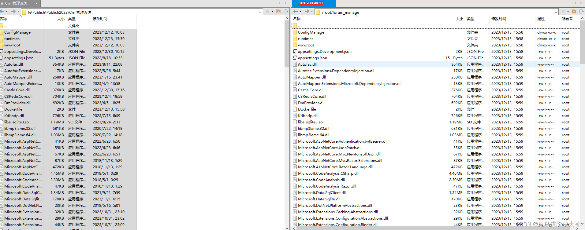 如何使用Docker将.Net6项目部署到Linux服务器（二）_linux net6 docker-CSDN博客
