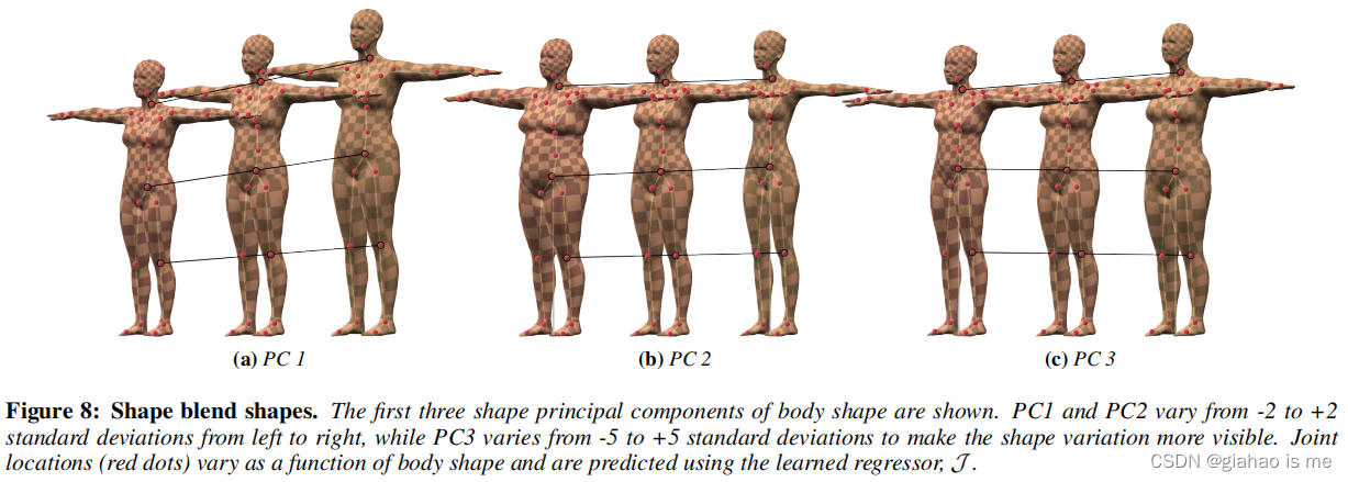 SMPL模型详解：基础知识、参数与骨骼蒙皮实现,-CSDN博客