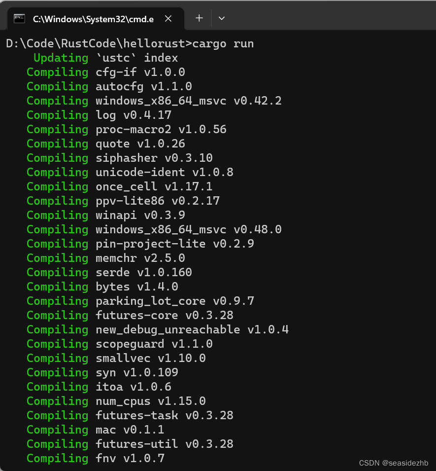 Window 11中安装Rust编译环境和集成开发环境_win11安装rust-CSDN博客
