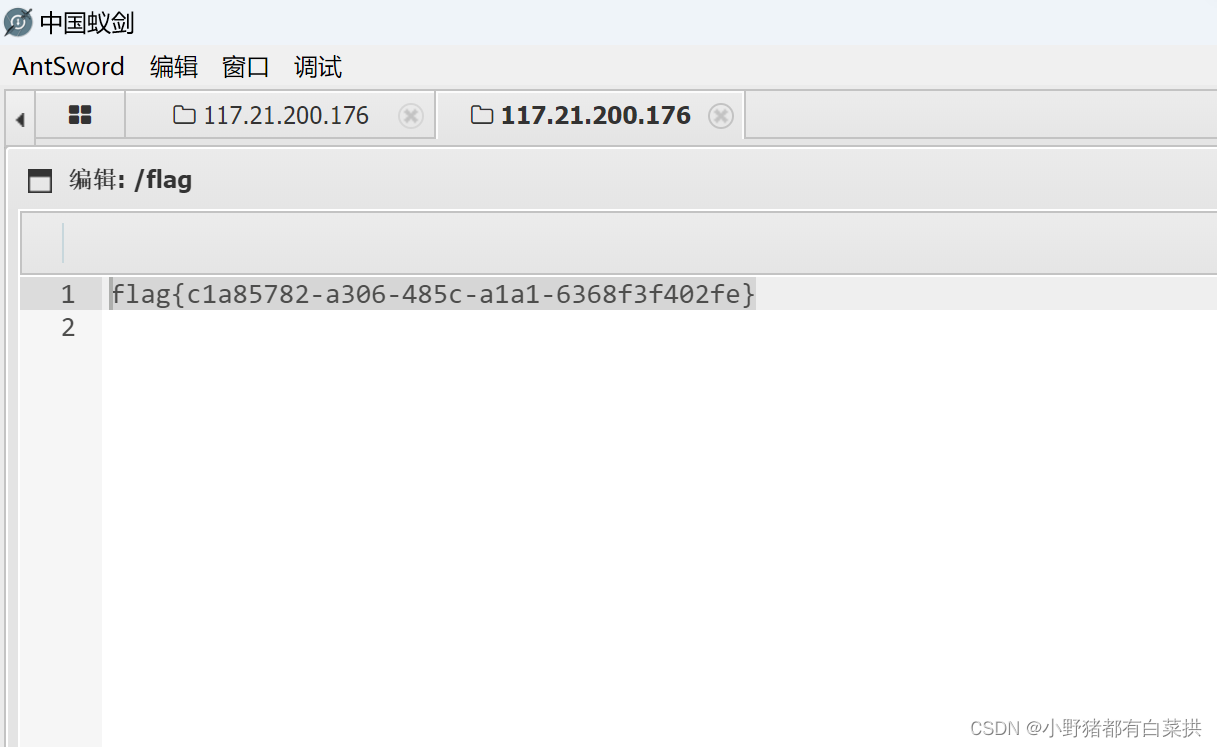 [ACTF2020 新生赛]Upload--BUUCTF-CSDN博客