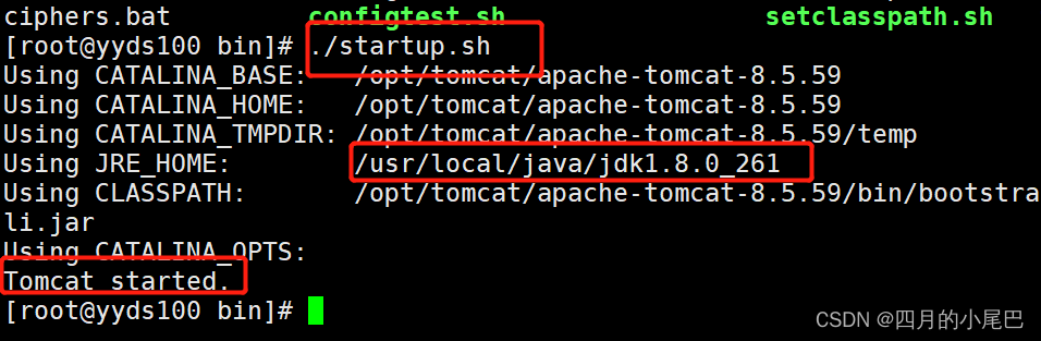 Linux17 jdk tomcat idea mysql在linux上安装_jdk17 rpm-CSDN博客