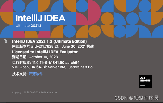 IDEA2021.3安装保姆级教程_idea2021.3安装教程-CSDN博客
