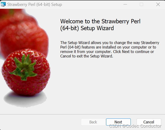 Windows 环境下编译 libaom 源码教程_strawberry-perl-5.38.2.2-64bit.msi-CSDN博客