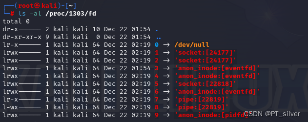 Linux的/proc/self/学习_flag常存放在proc里-CSDN博客