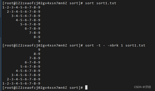 使用sort命令的文本行ASCII排序与选项详解,-CSDN博客