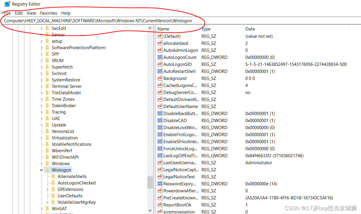 Windows核心编程_设置Windows开机自动登录_winlogon defaultuser-CSDN博客