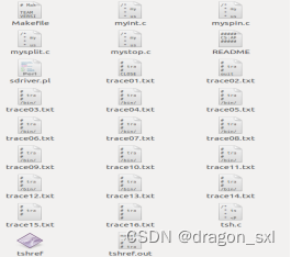 实验四-Shelllab实验（csapp、计算机系统外壳实验）_shell lab-CSDN博客