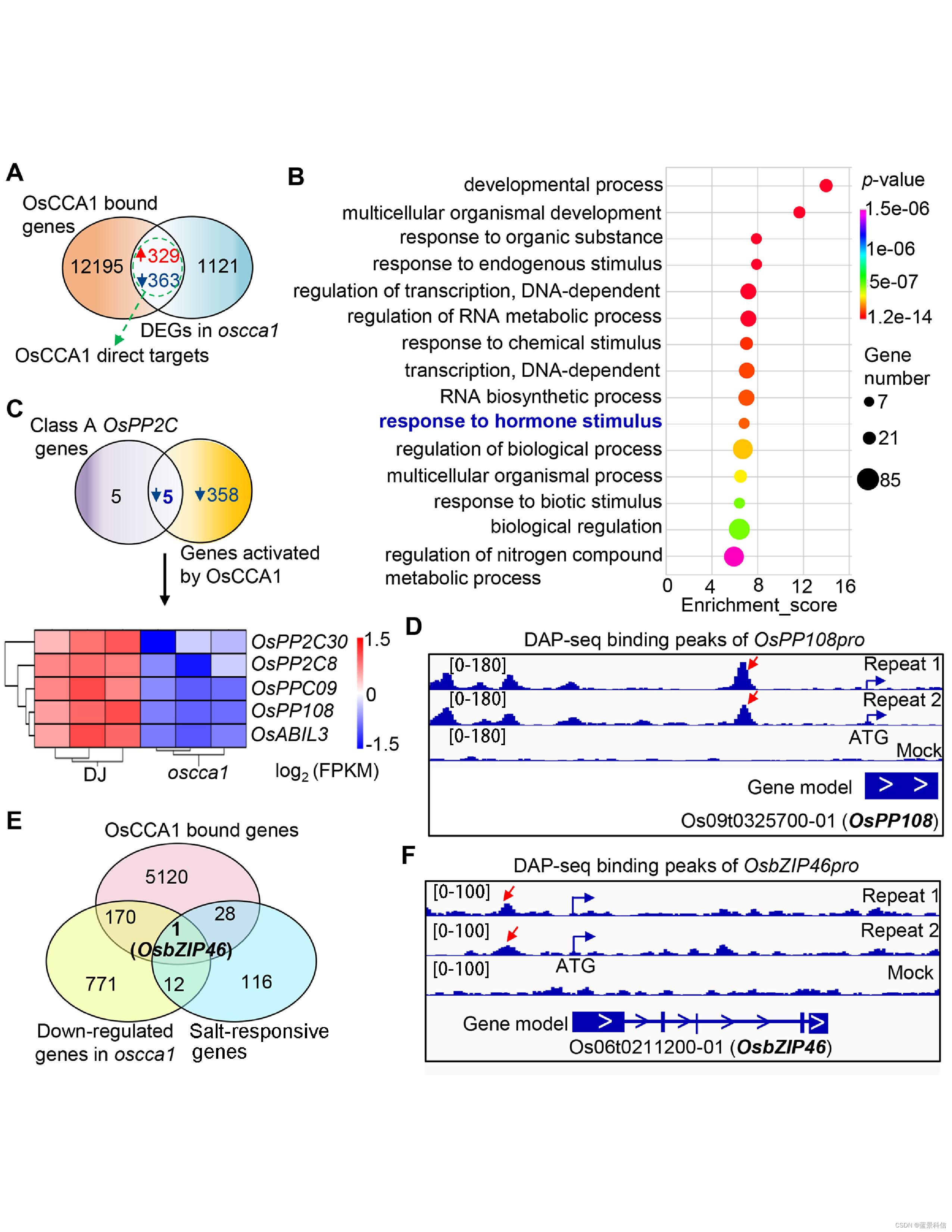 客户文章 | Plant Physiology：RNA-seq（转录组测序）和DAP-seq技术联合应用于OsCCA1通过ABA信号调控水稻 ...