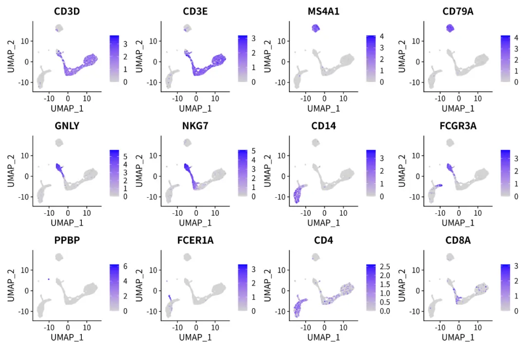 10X单细胞（10X空间转录组）数据分析之NMF（非负矩阵分解）_单细胞nmf-CSDN博客