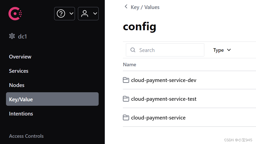 SpringCloud——consul-CSDN博客
