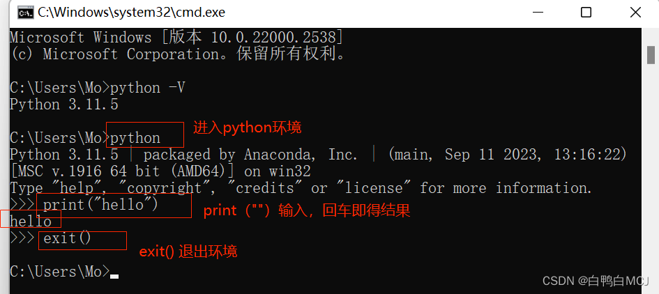 实践：Python在Windows运行环境的搭建_python3.11.5安装教程-CSDN博客