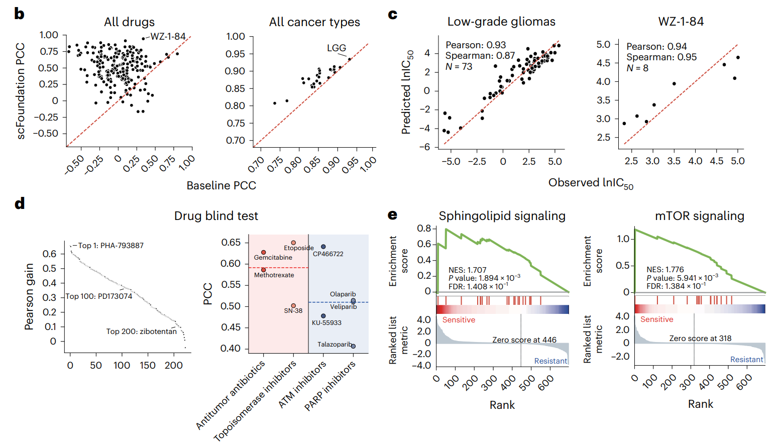 nature methods | 单细胞转录组学的大基础模型scFoundation（宋乐/张学工/马剑竹）_large-scale foundation model on single ...