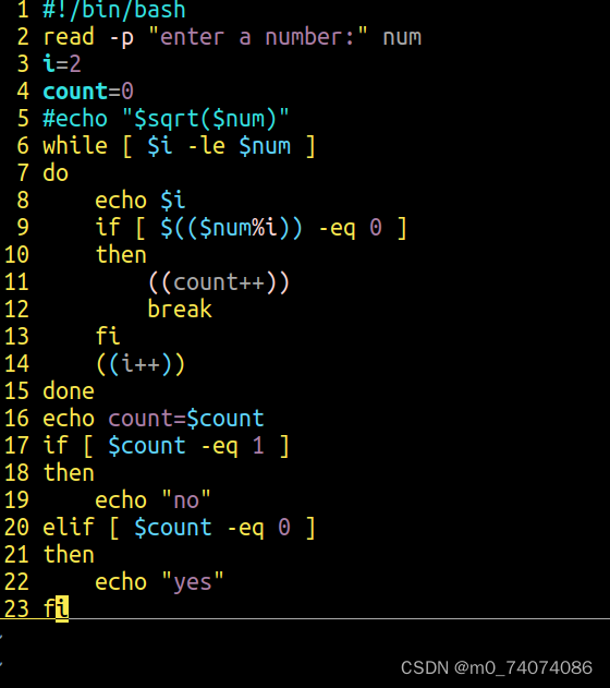 c高级day5-CSDN博客