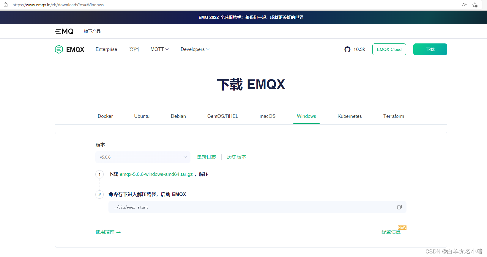 EMQX服务器与MQTTX客户端：开源Mqtt解决方案-CSDN博客