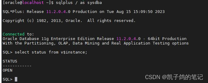 必看：ORA-12514: TNS: 监听程序当前无法识别连接描述符中请求的服务；客户端PL/SQL 连接不上，干货，绝对是干货_plsqlora12514 监听程序当前无法识别-CSDN博客