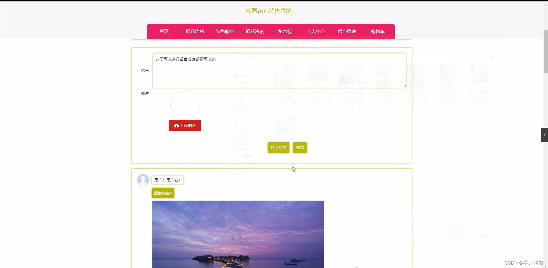 ssm毕设项目校园花卉销售系统ef5ox (1)（java+VUE+Mybatis+Maven+Mysql+sprnig）-CSDN博客