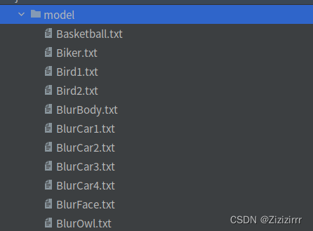 pysot-master-eval.py运行记录_pysot运行结果-CSDN博客