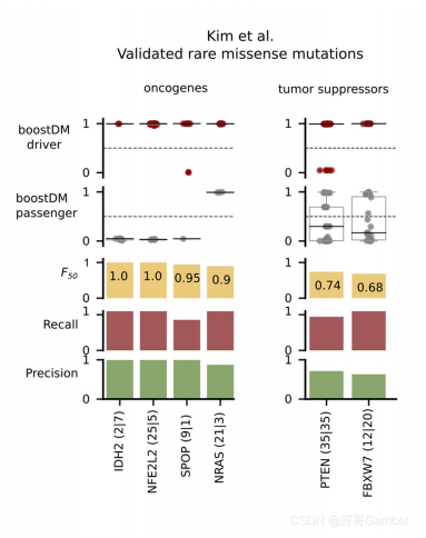 In silico saturation mutagenesis of cancer genes 解读_in silico mutations ...
