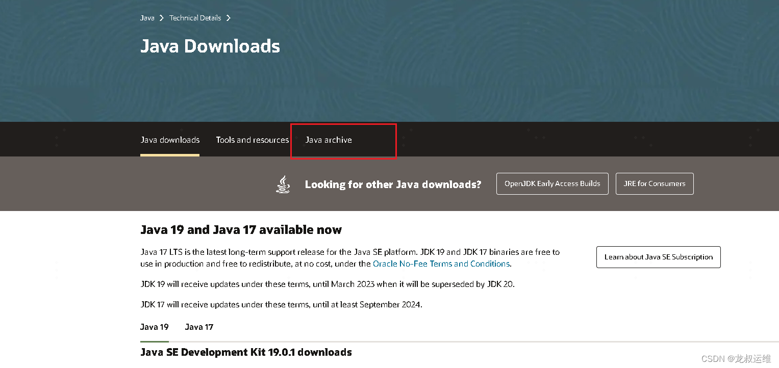 Java运维实战：JDK介绍及安装_jdk 8u202 openjdk-CSDN博客