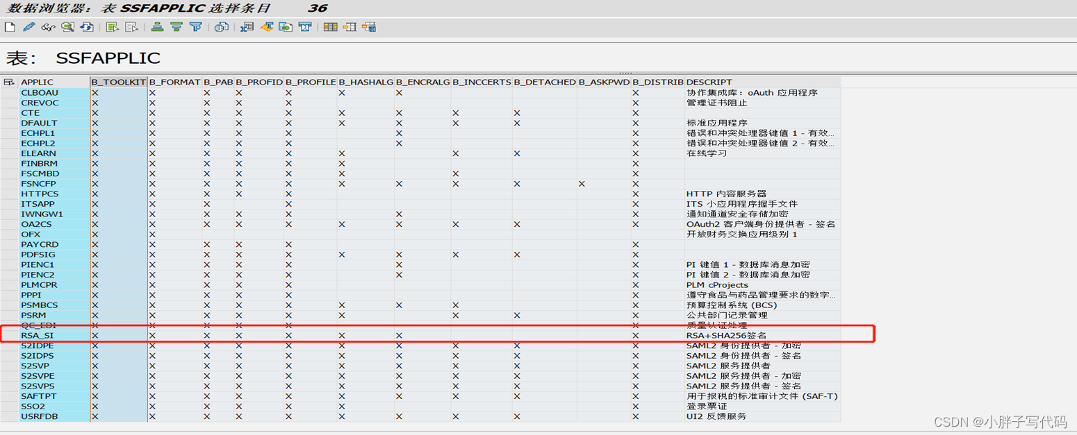 SAP-RSA加解密及验签_sap rsa加密-CSDN博客