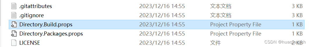 VisualStudio2022项目中Directory.Build.props文件的妙用-CSDN博客