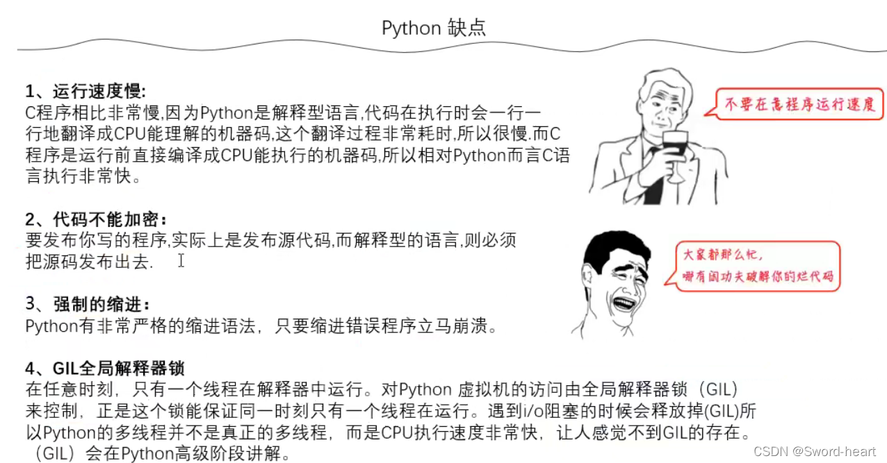Python编程-优缺点_phyone 优点缺点-CSDN博客