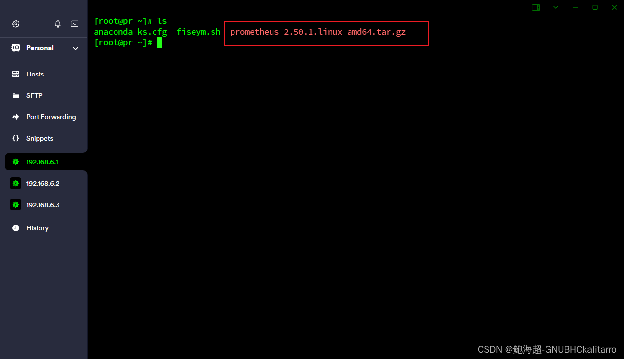 Linux：Prometheus的源码包安装及操作（2）_linux服务器安装prometheus-CSDN博客