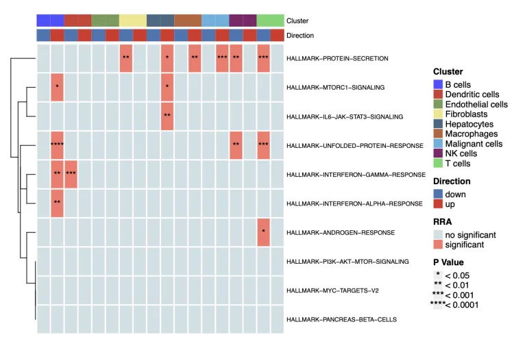 单细胞irGSEA分析:整合多种富集分析方式的R包-CSDN博客