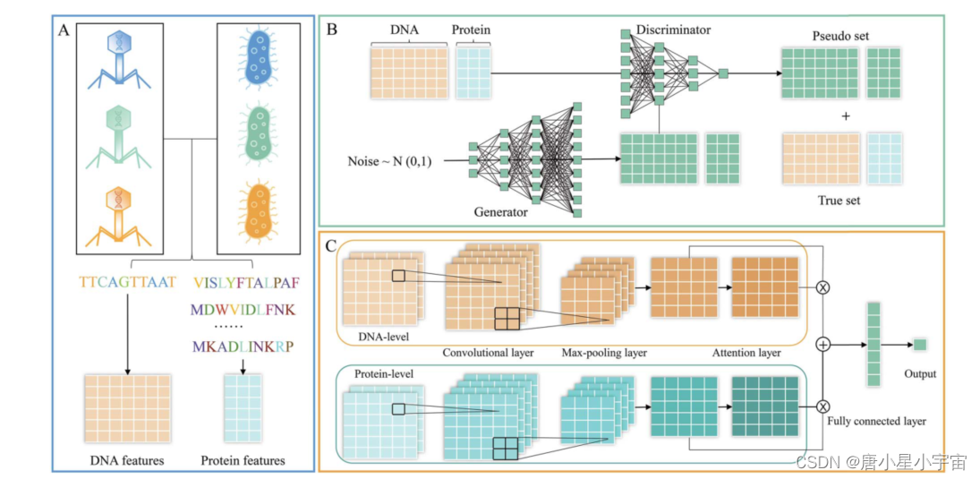 PHIAF：使用基于 GAN 的数据增强和序列的特征融合预测噬菌体-宿主相互作用_phiaf: prediction of phage-host interactions with -CSDN博客