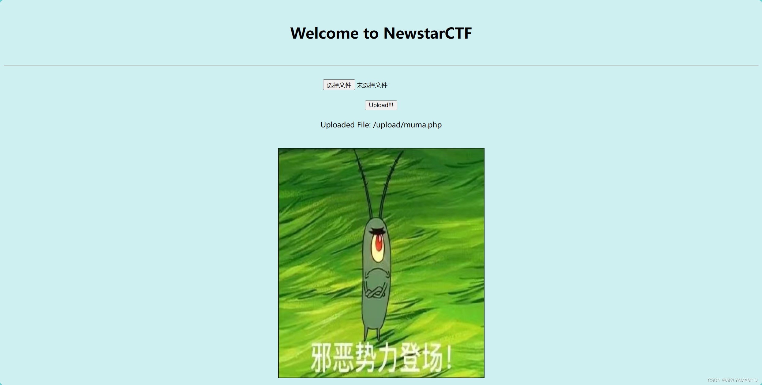 小白初学CTFweb-day2-CSDN博客