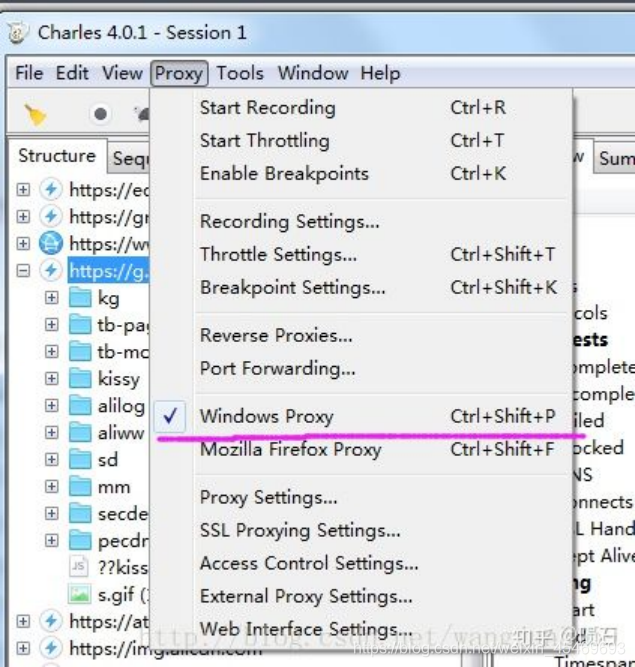 Charles安装及使用教程_charles安装教程-CSDN博客