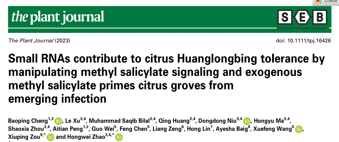 转录组力作！小RNA与mRNA相互作用分析调控免疫系统_mrna互作的microrna预测-CSDN博客