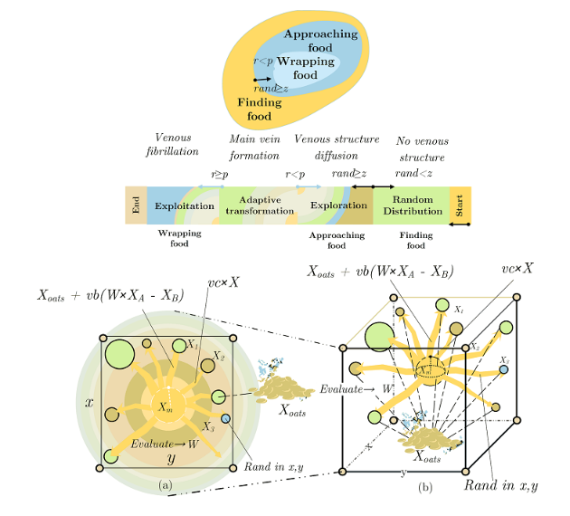 【智能优化算法】粘液霉菌算法（SMA）：一种随机优化的新方法_黏菌优化算法 (sma)算法流程-CSDN博客