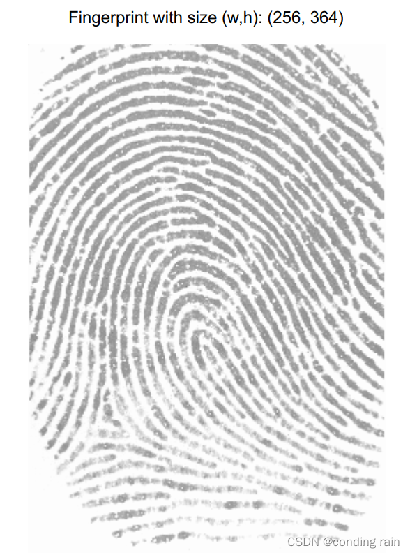 python指纹识别算法（亲测代码可用）_python fingerprint-CSDN博客