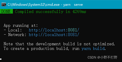 Vue启动项目后Network: unavailable_vue项目启动终端 network没值-CSDN博客