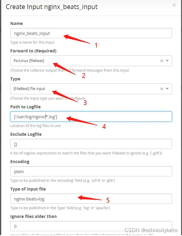 Graylog2采集Nginx日志 主动方式(转)-CSDN博客