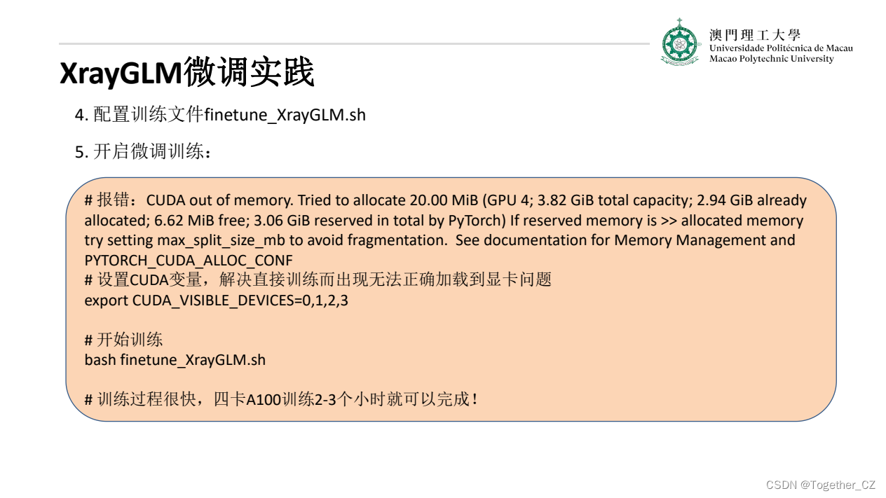 《XrayGLM：基于VisualGLM-6B微调训练对X光胸片进行医学诊断》学习分享与本地项目微调部署实践-CSDN博客