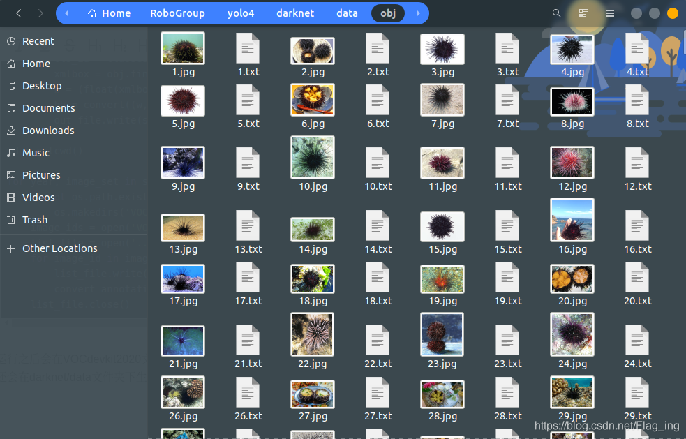 YOLOv4：ubuntu18下使用darknet训练自己的模型_ubuntu18 yolov4编译-CSDN博客