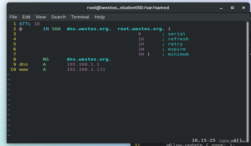 （3.6）企业dns服务器搭建_dns $ttl 1d-CSDN博客