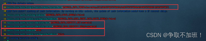 docker部署的nacos2.2x开启鉴权功能_docker nacos开启鉴权-CSDN博客